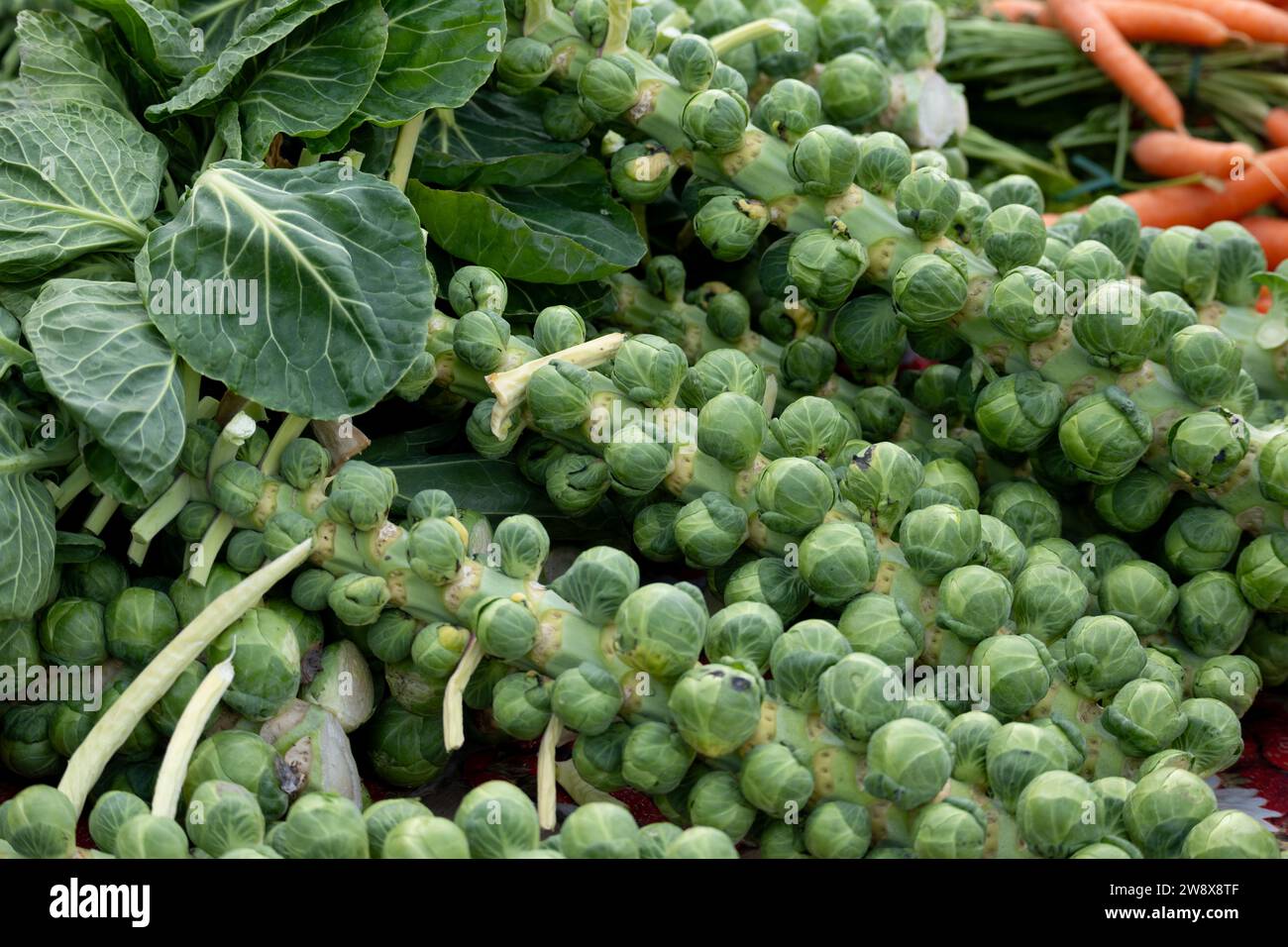 Brussels Sprouts for sale on a market stall, UK Stock Photo - Alamy