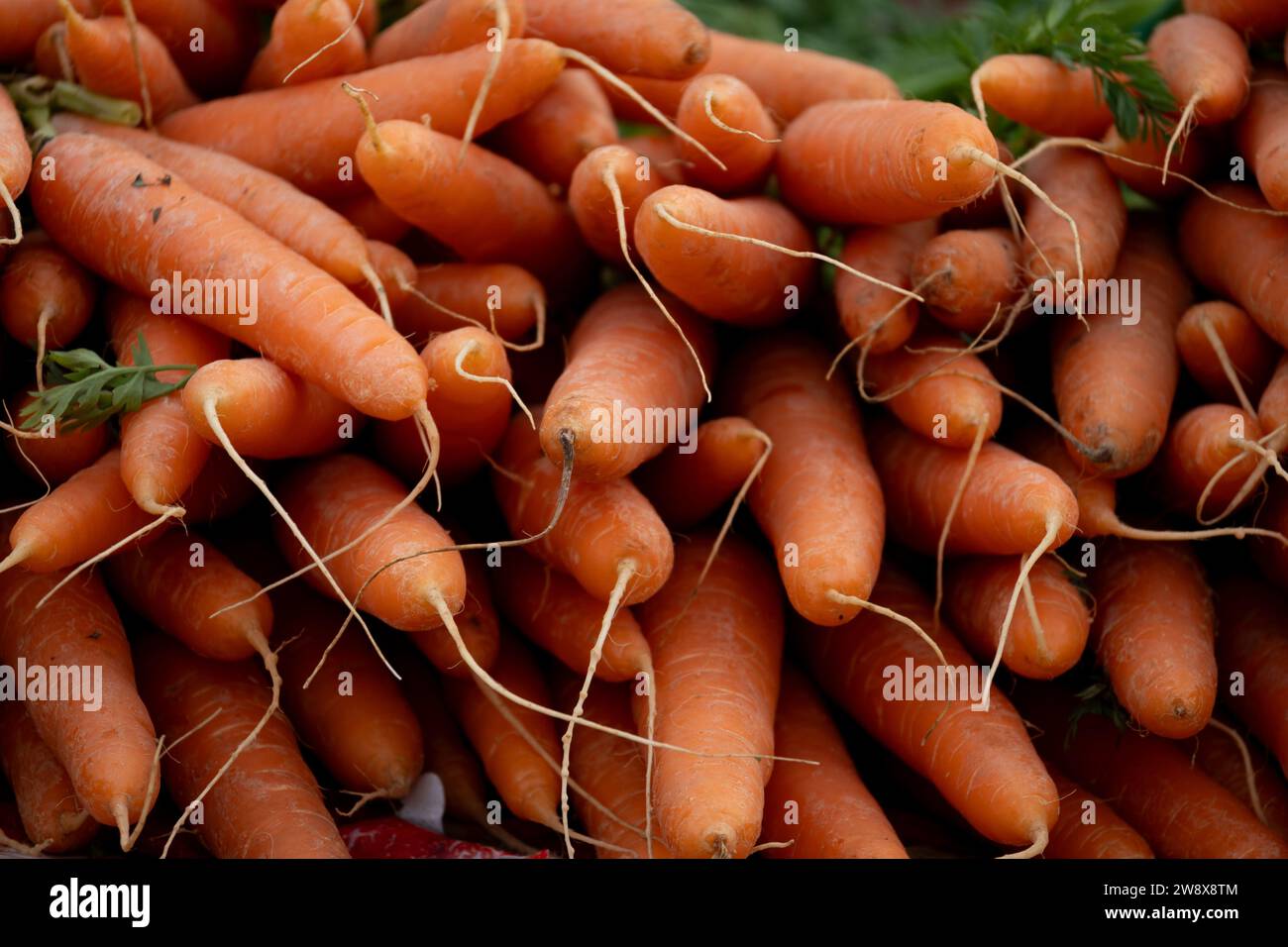 Carrots for sale on a market stall, UK Stock Photo - Alamy
