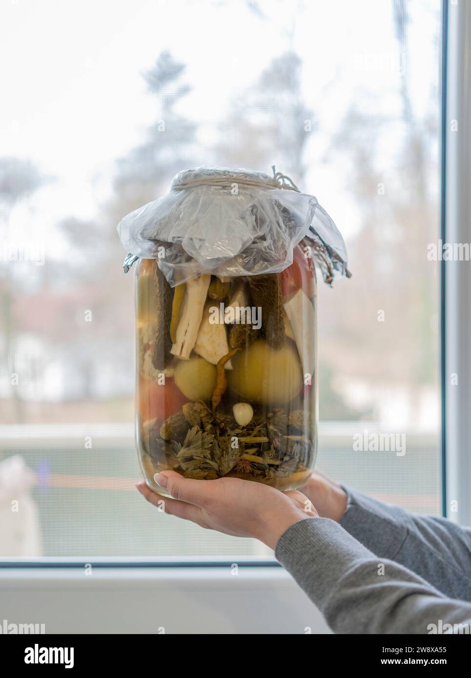 Big pickle jar held up to window Stock Photo - Alamy