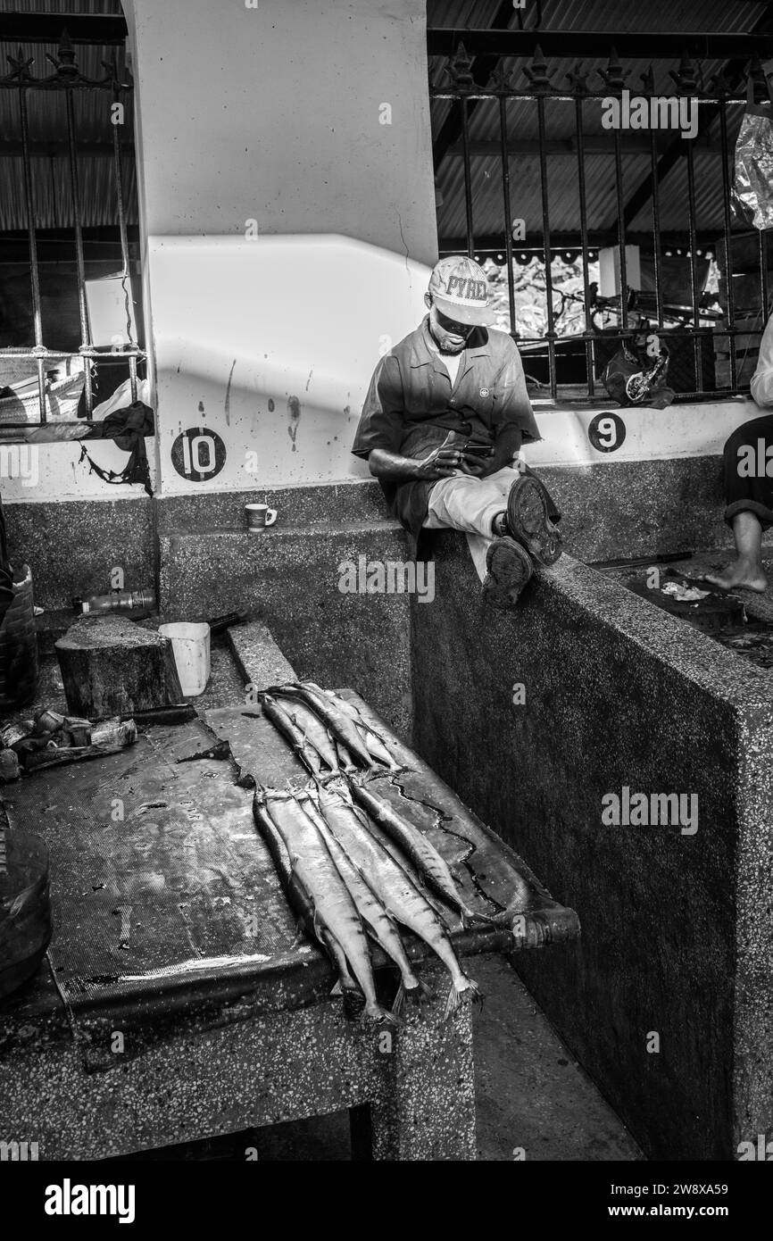 Salmon raw fish salmon Black and White Stock Photos & Images - Alamy