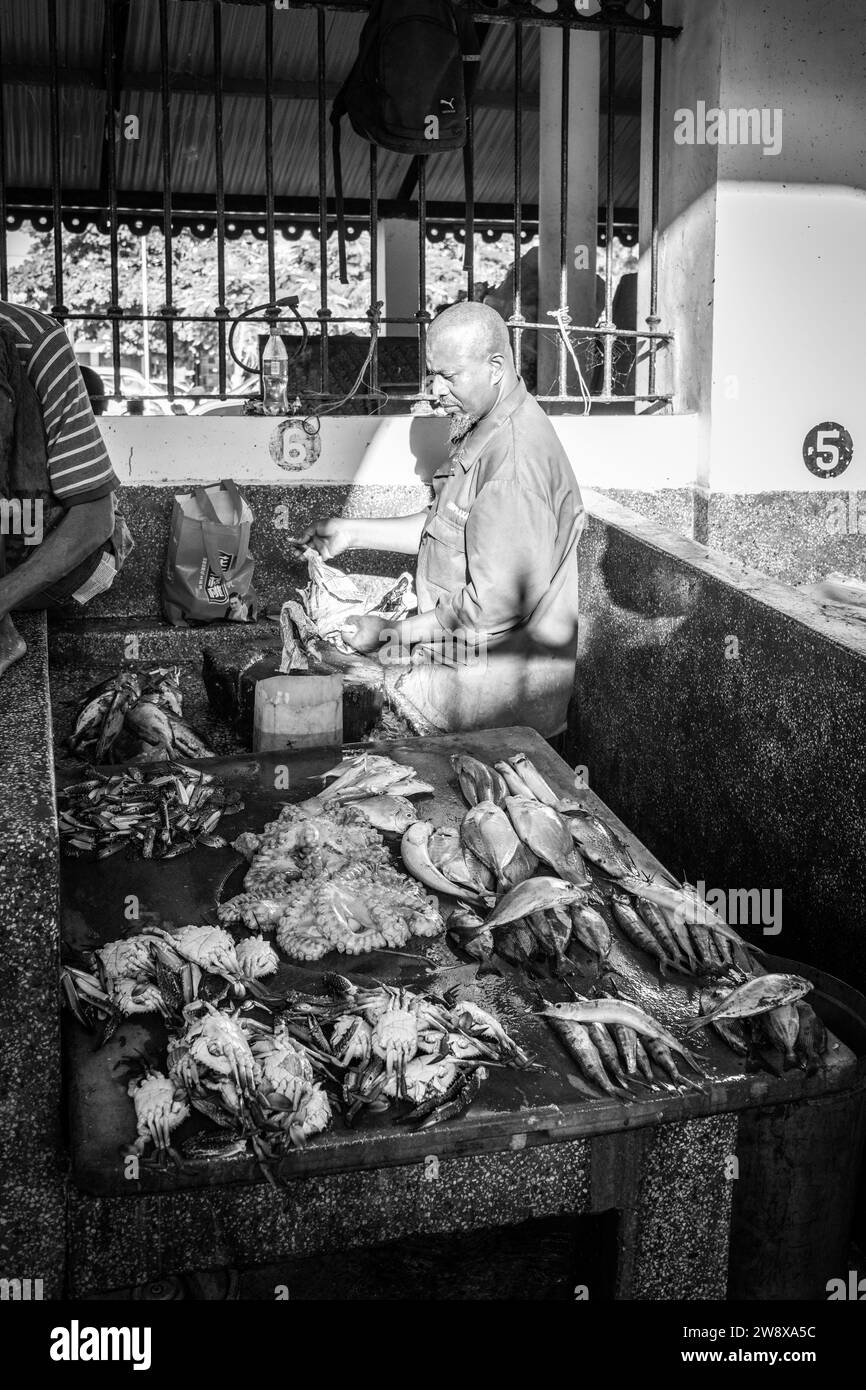 Salmon fish raw fish Black and White Stock Photos & Images - Alamy