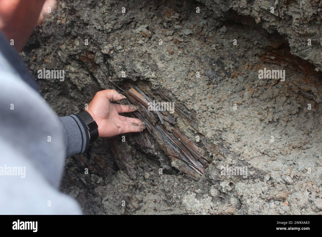 (231222) -- JINGZHOU, Dec. 22, 2023 (Xinhua) -- An archaeologist sorts ...