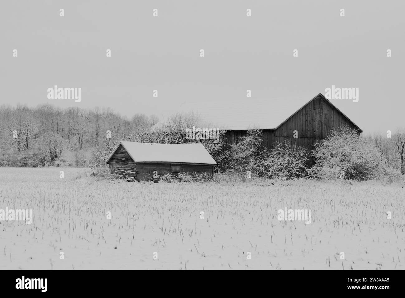 snow covered barn Stock Photo - Alamy