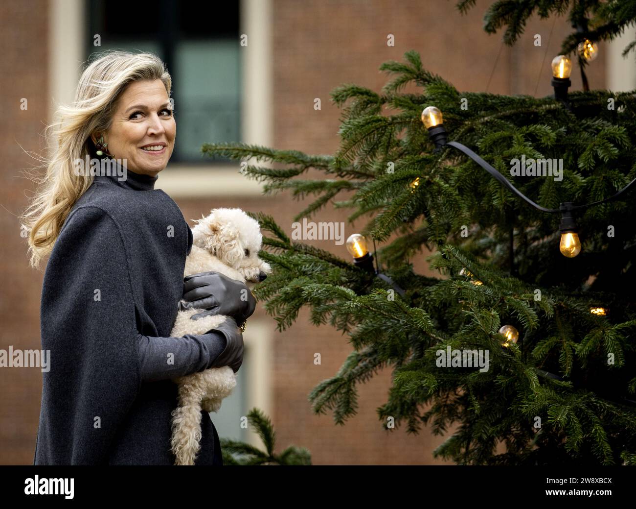 THE HAGUE - Queen Maxima during the traditional photo session of the ...
