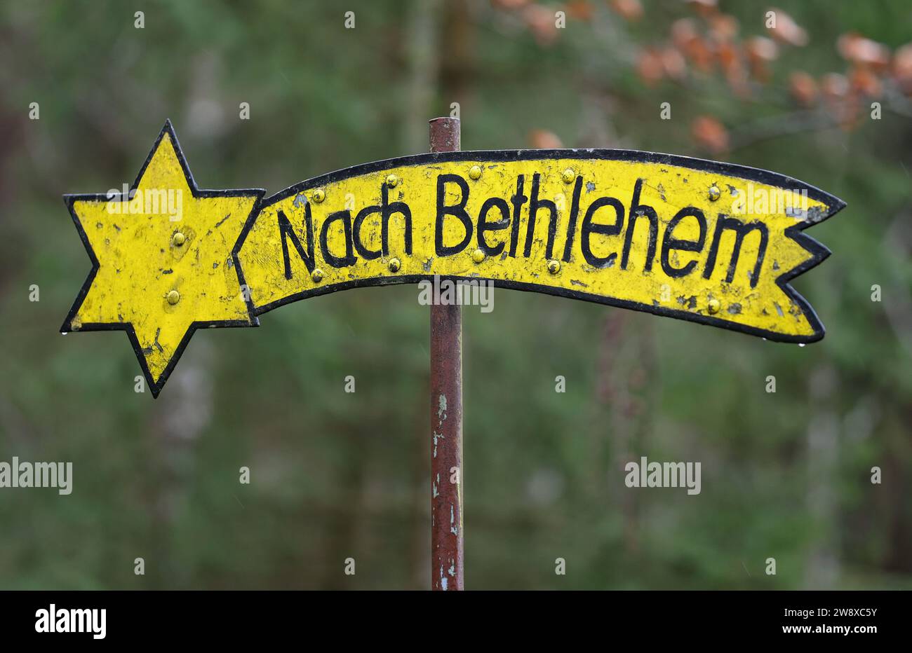 Pfullendorf, Germany. 22nd Dec, 2023. A signpost in the shape of the ...
