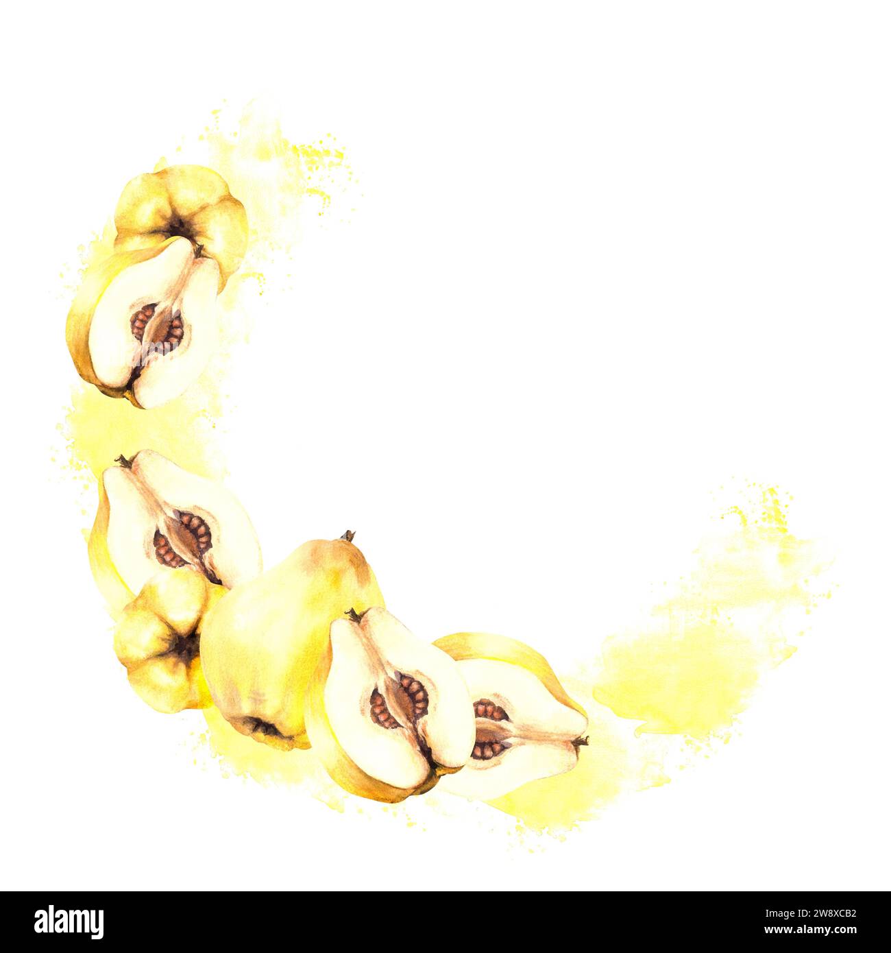 Hand painted watercolor round frame, wreath. Ripe juicy quince whole ...