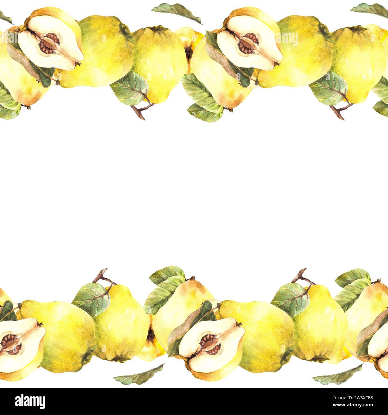 Watercolor hand painted seamless border frame Yellow juicy quince whole ...