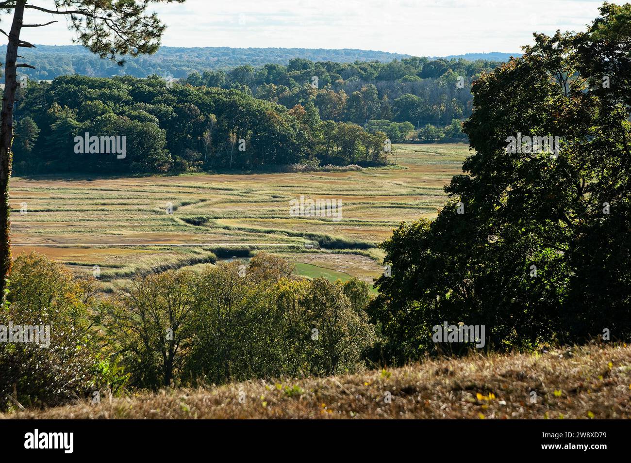 The Crane Estate - Ipswich, Massachusetts. Colorful Saltwater bogs wrap ...