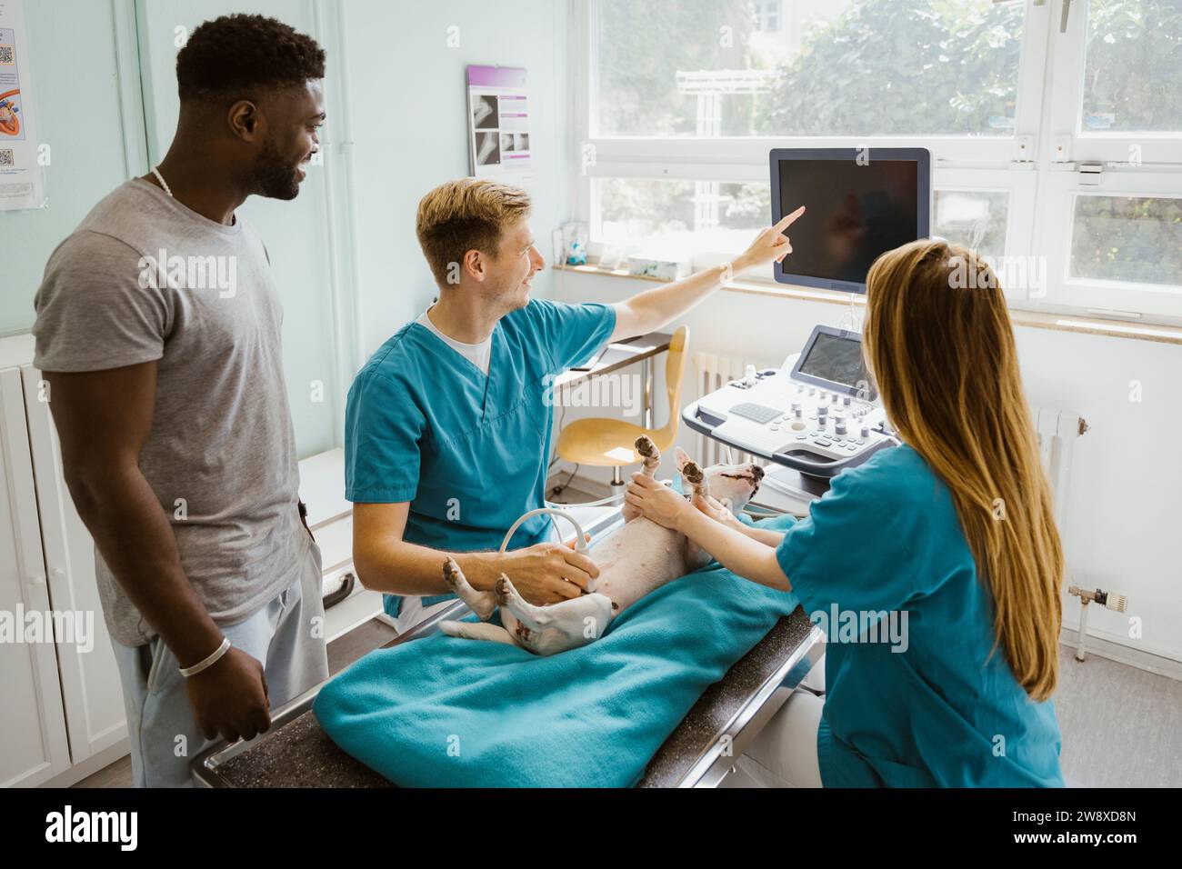 Male doctor showing ultrasound of dog on computer screen to owner in ...