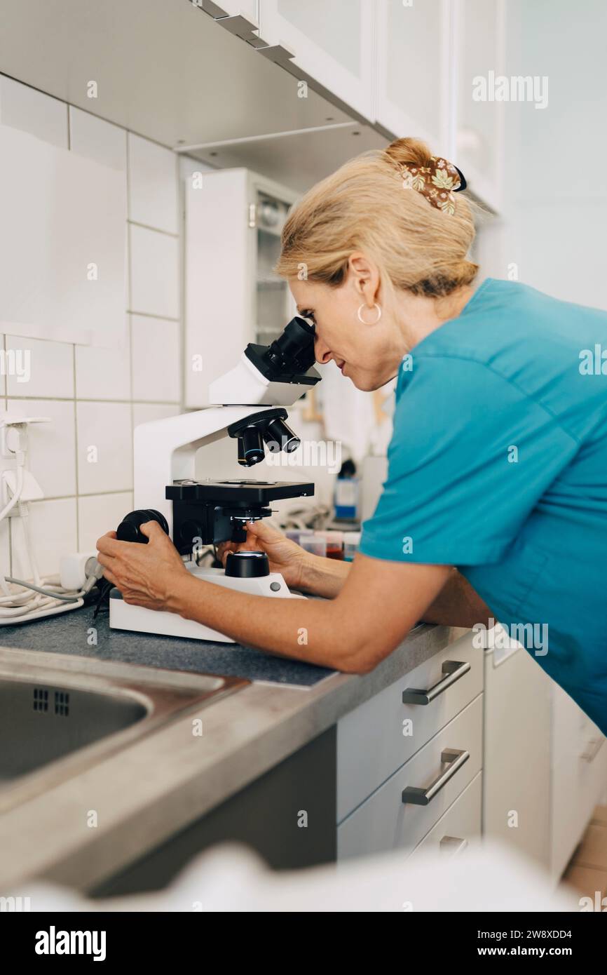 Blond female veterinarian examining blood test under microscope at ...