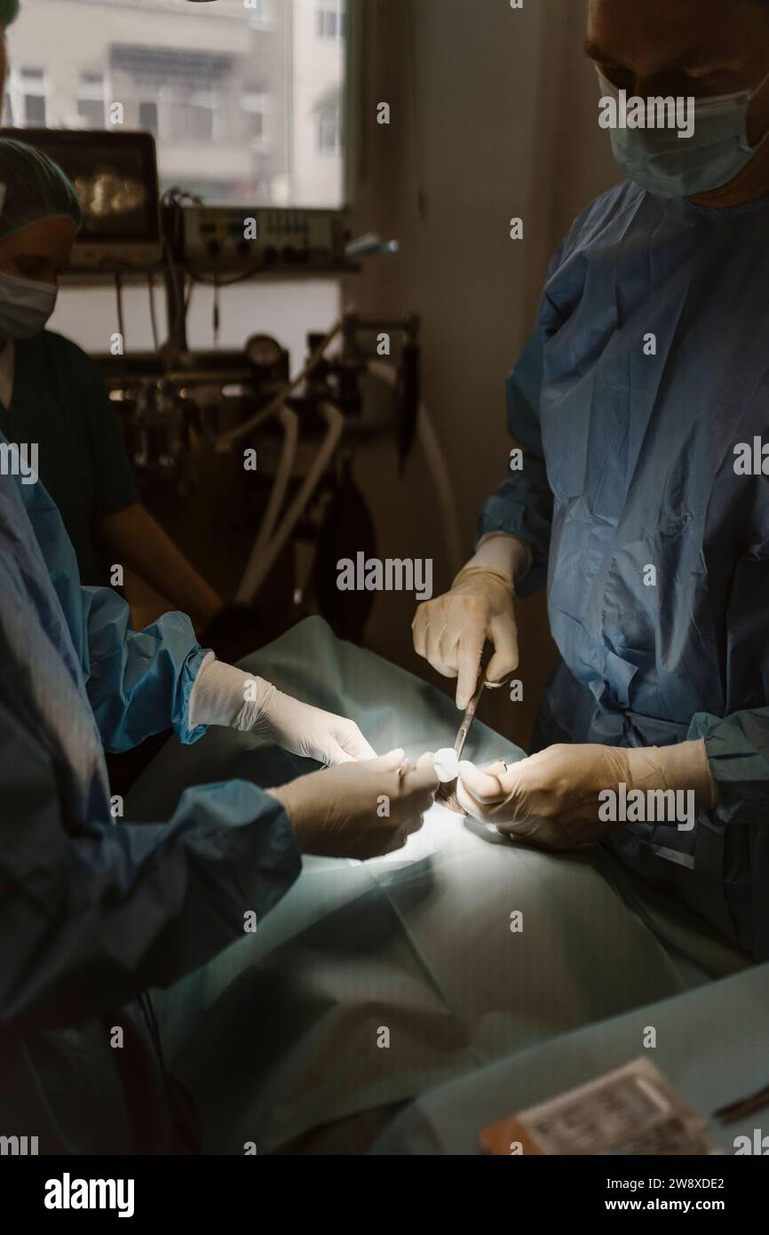 Animal experts performing surgery in medical clinic Stock Photo - Alamy