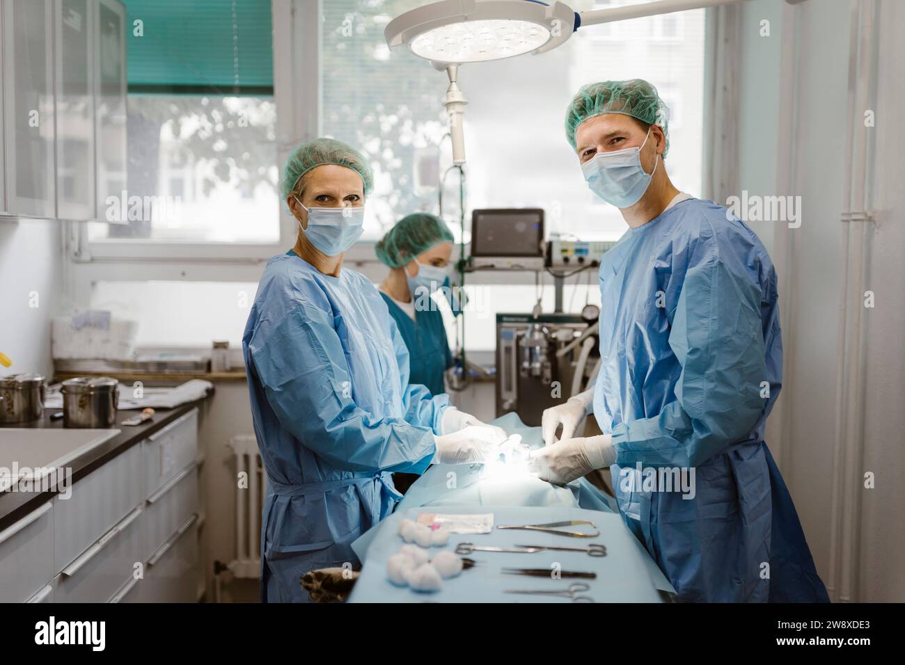 Portrait of male and female veterinarians in operating room at animal ...
