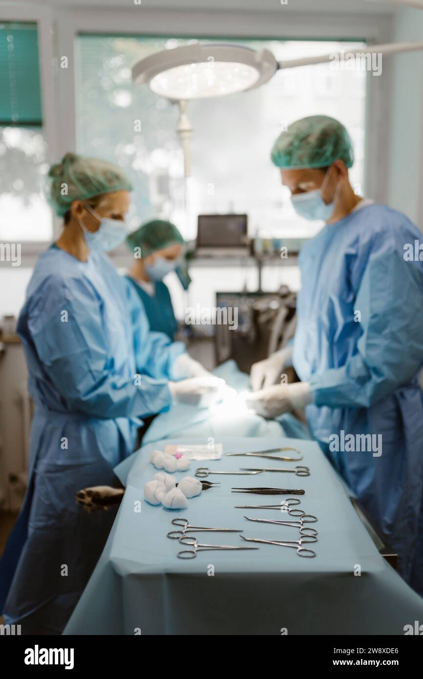 Surgical equipment arranged on table with animal surgeons in background ...