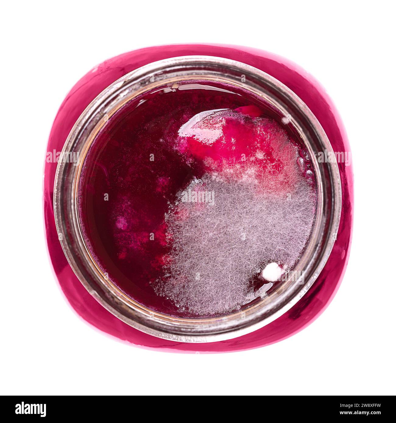 Kahm yeast film on the surface of fermented red cabbage. Kahm, a layer ...