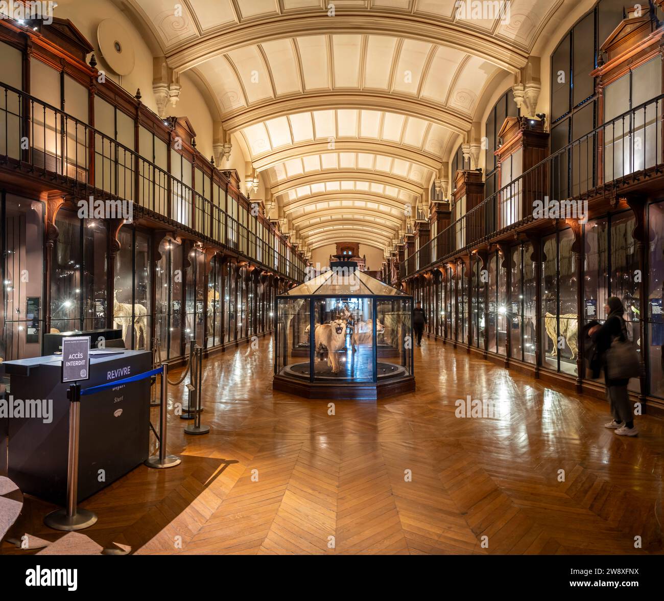 Paris, France - 12 15 2023: The Great Evolution Gallery of Paris. View ...