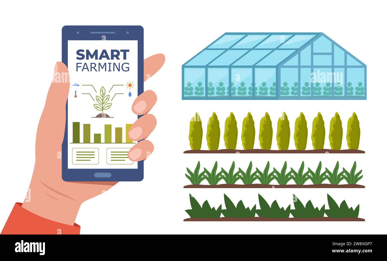 Smart farming, futuristic technologies in farm industry. Smartphone ...
