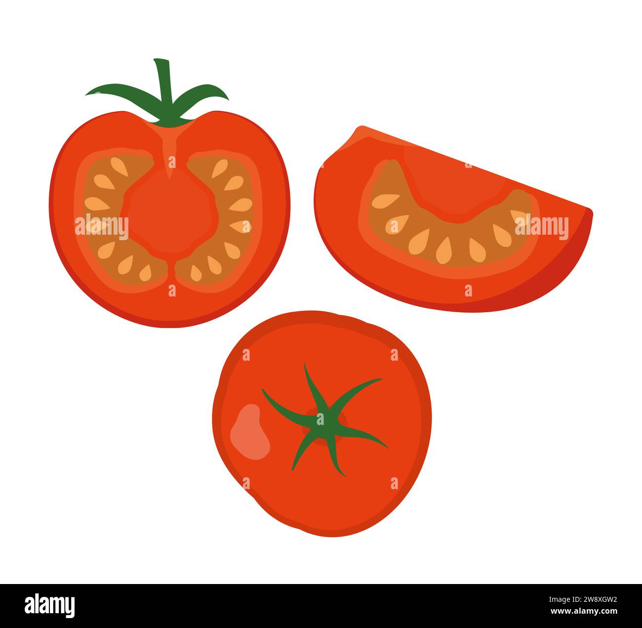 Half a tomato, a slice and a whole tomato. Fresh red tomatoes. Vegetables. Vector illustration ...