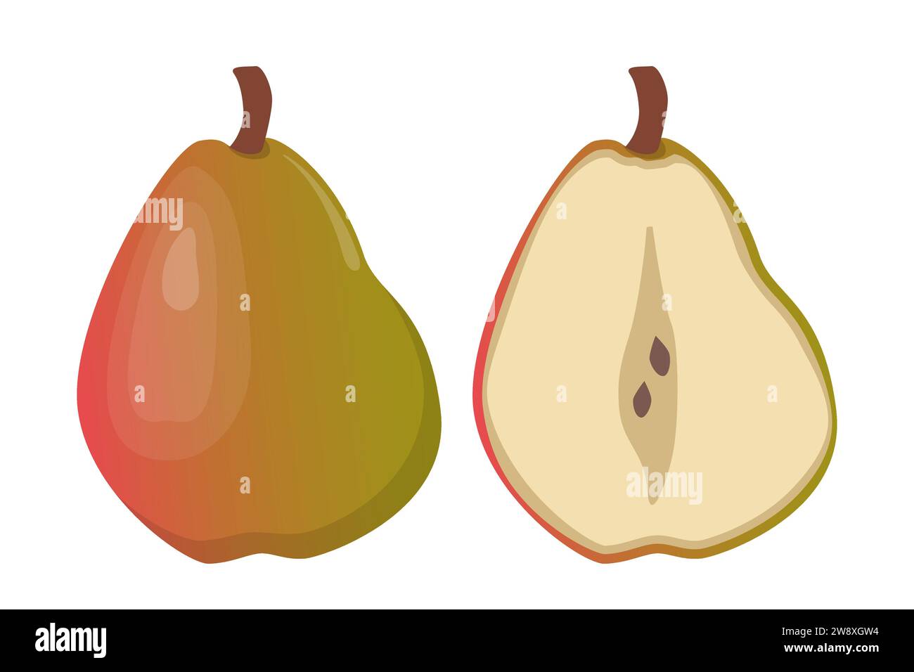 Pear whole and a half of fruit. Pear slice. Vector illustration Stock ...