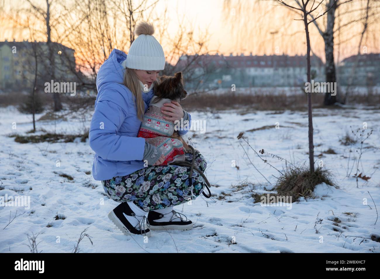 The owner hugs her little dog while walking Stock Photo - Alamy