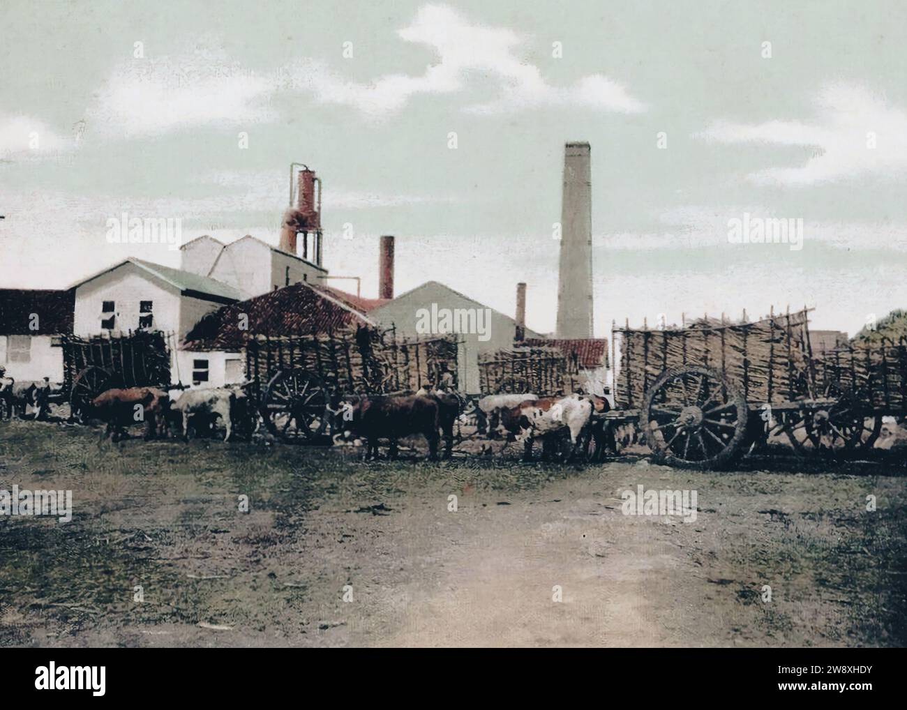 Cuban sugar plantation hi-res stock photography and images - Alamy