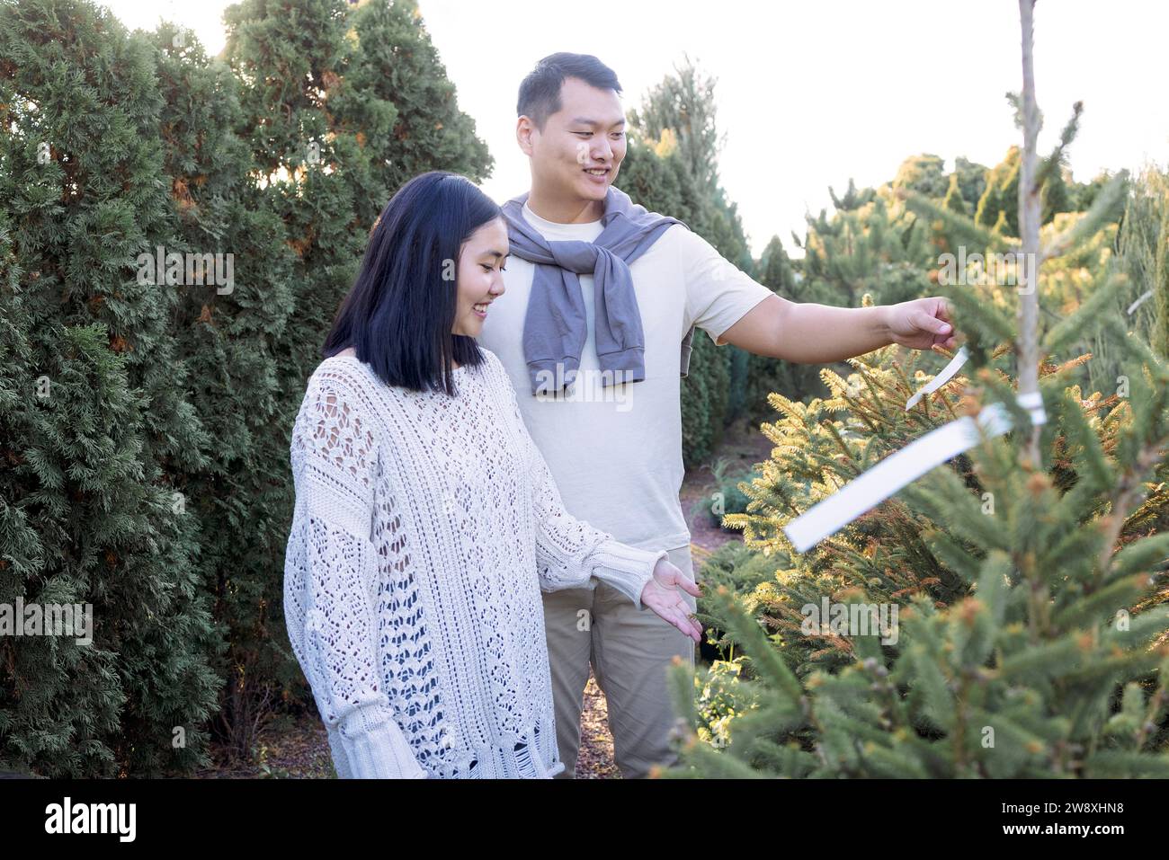 A young Asian married couple in casual clothes chooses a Christmas tree ...
