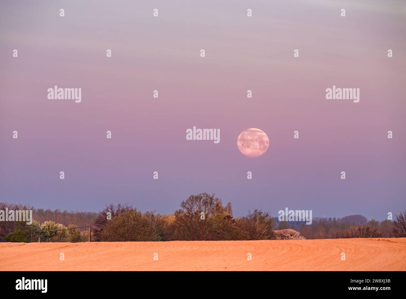 Golden hour sunlight over spring hi-res stock photography and images ...