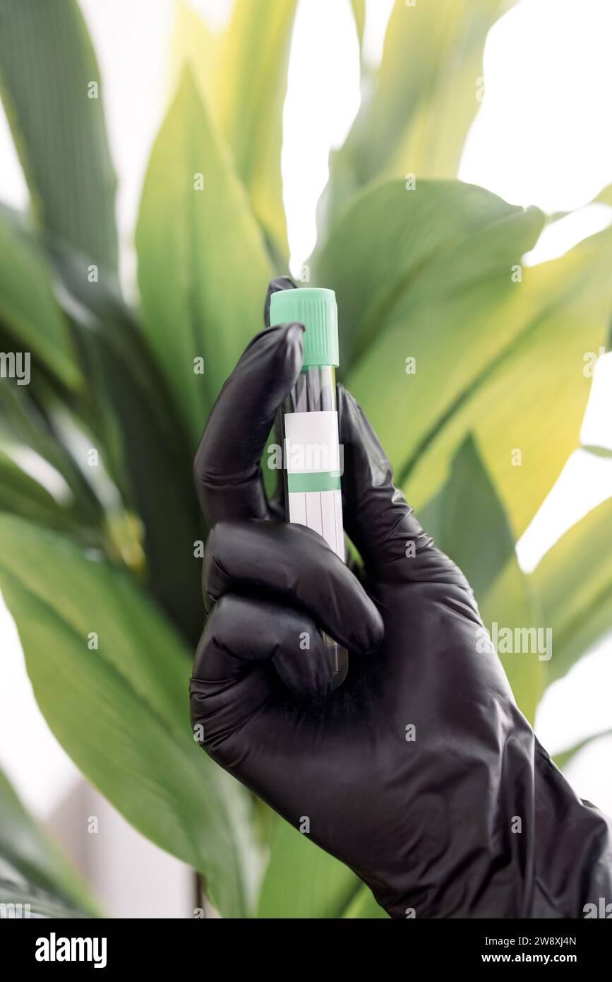 Сosmetologist holds test tube with blood in green leaves background ...