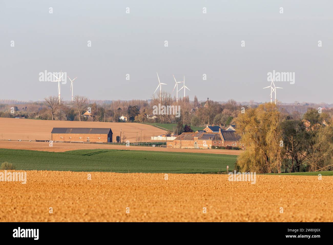 Agricultural landscape on a spring morning. Wind turbines on the ...