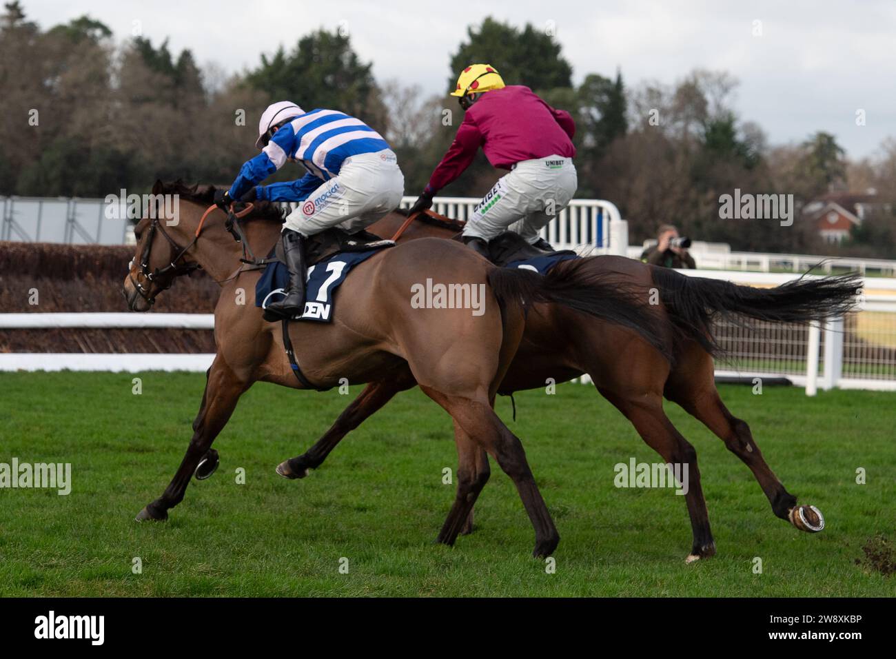 Ascot, Berkshire, UK. 22nd December, 2023. Horse Welcom To Cartries (No ...