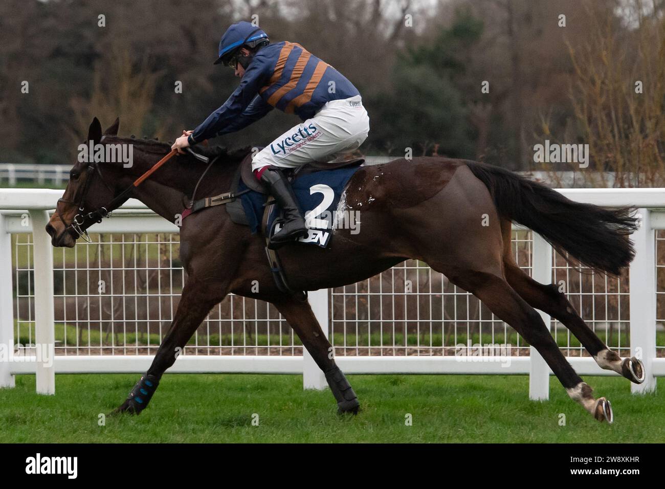 Ascot, Berkshire, UK. 22nd December, 2023. Horse Djelo ridden by jockey ...