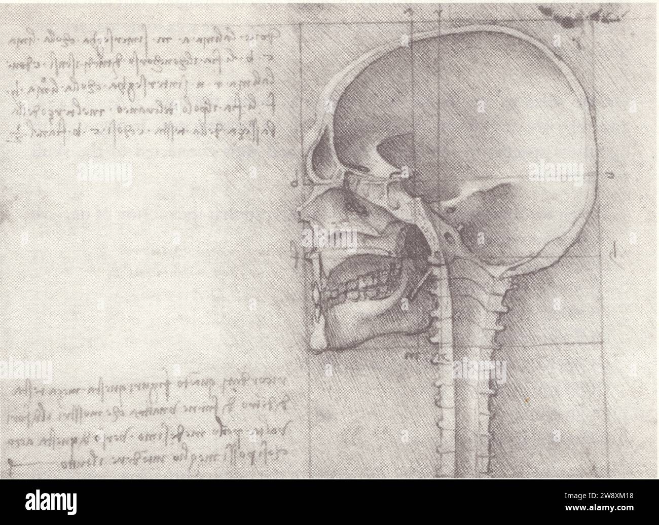 LEONARDO DA VINCI.SECTIONAL STUDY OF A HUMAN SKULL,WITH MEASUREMENTS TO ...