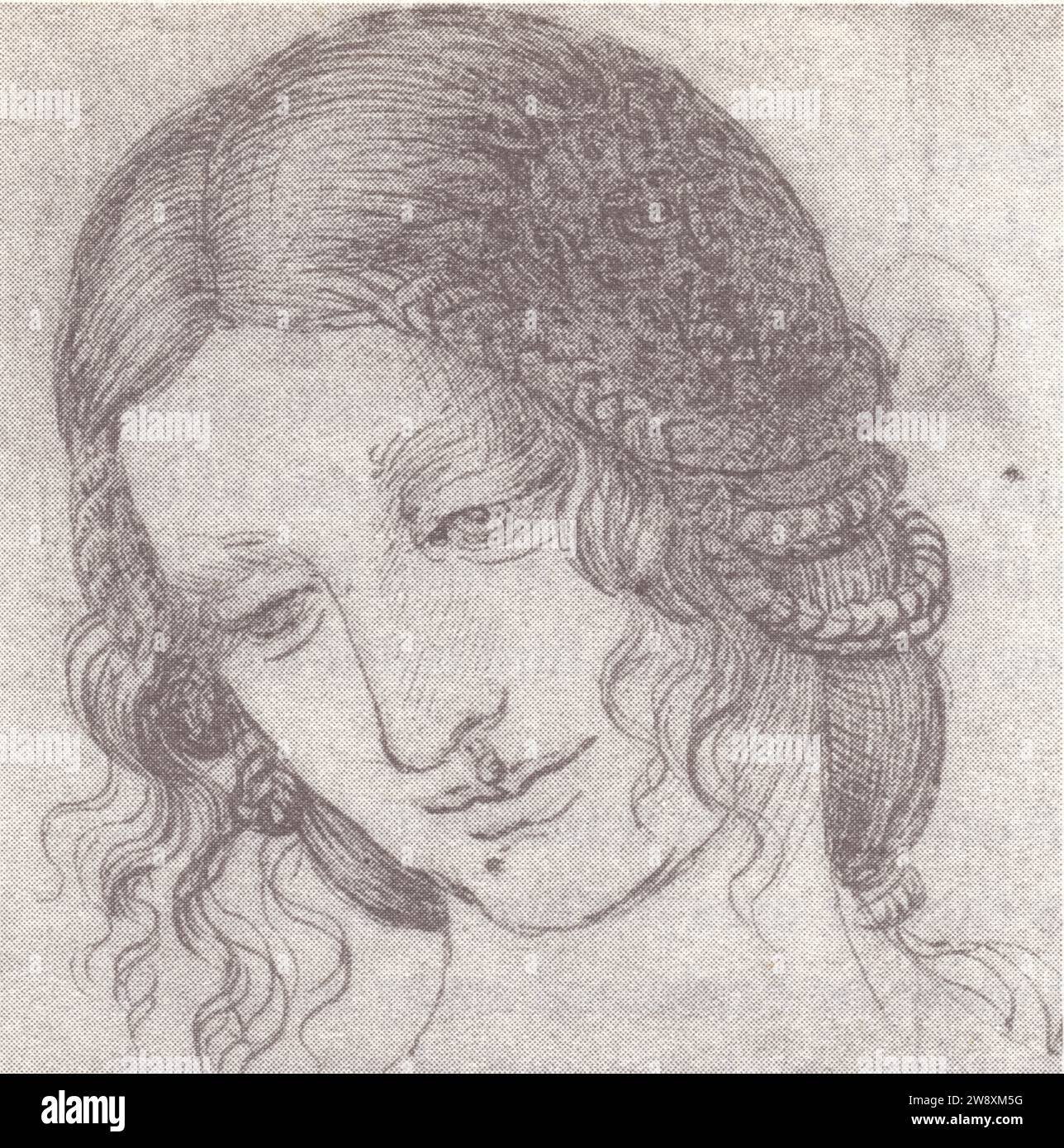 Leda leonardo da vinci hi-res stock photography and images - Alamy
