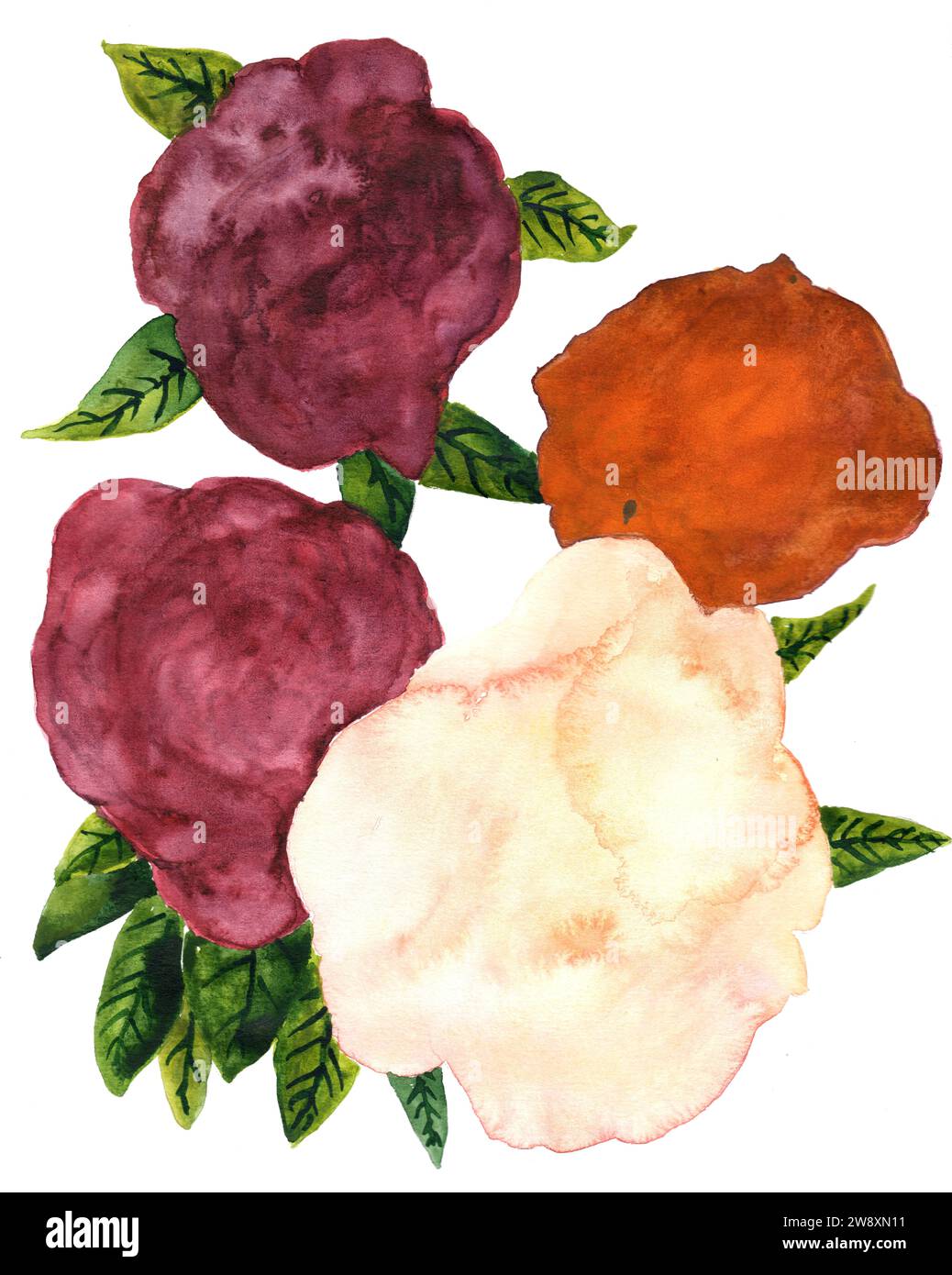 Watercolor drawing of four flowers Stock Photo - Alamy