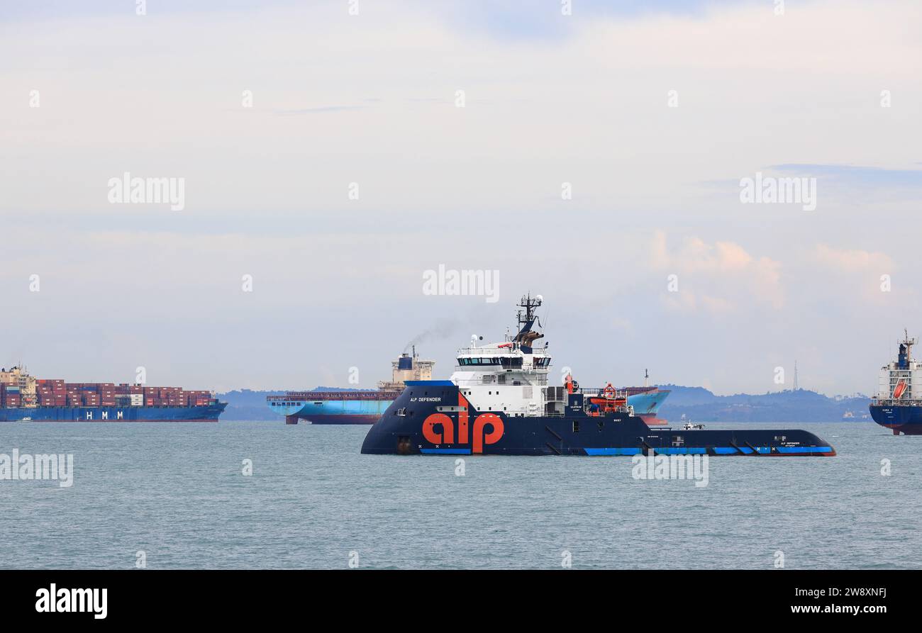 ALP DEFENDER, The versatile DP II ultra long distance towing and anchor ...