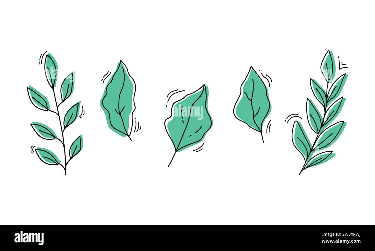 Line foliage leaves set. Hand drawn botanical green set. Vector ...