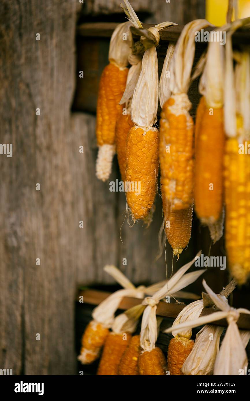 Corn harrow hi-res stock photography and images - Alamy