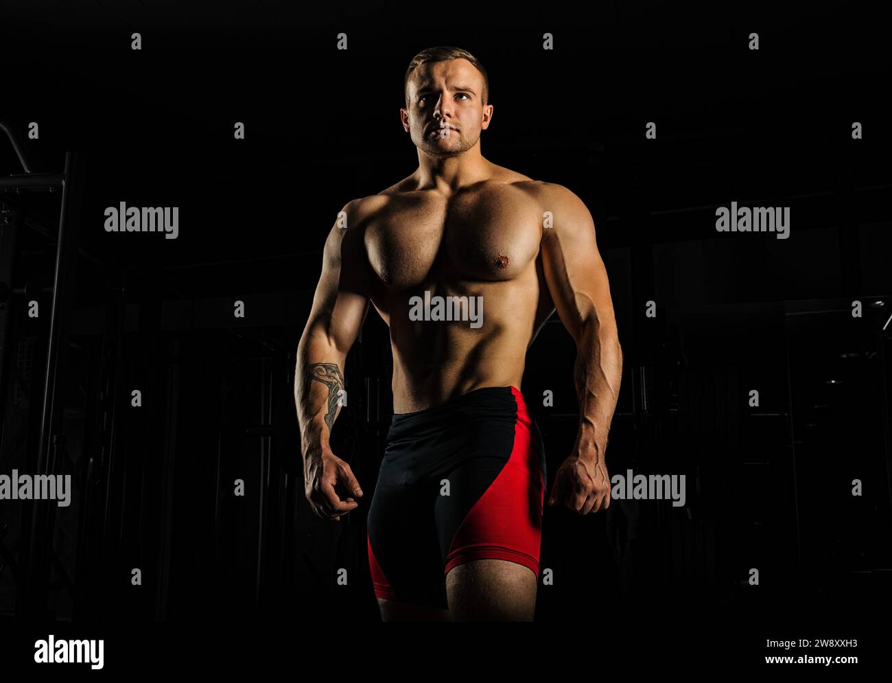Portrait of a weightlifter who poses without a shirt. Front view Stock ...