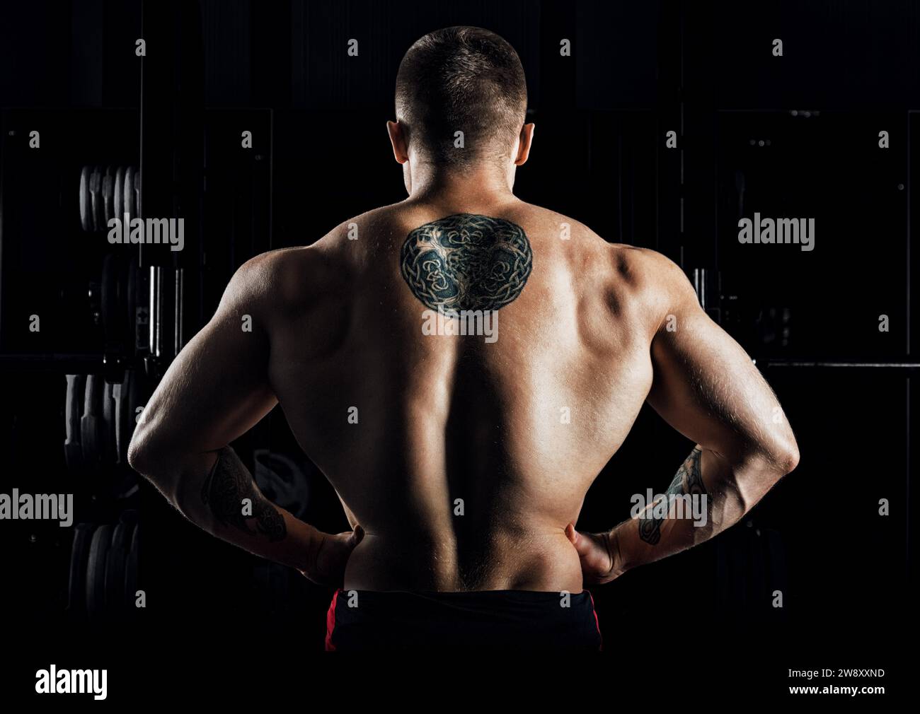Huge weightlifter stands with his back to the camera and shows his huge ...