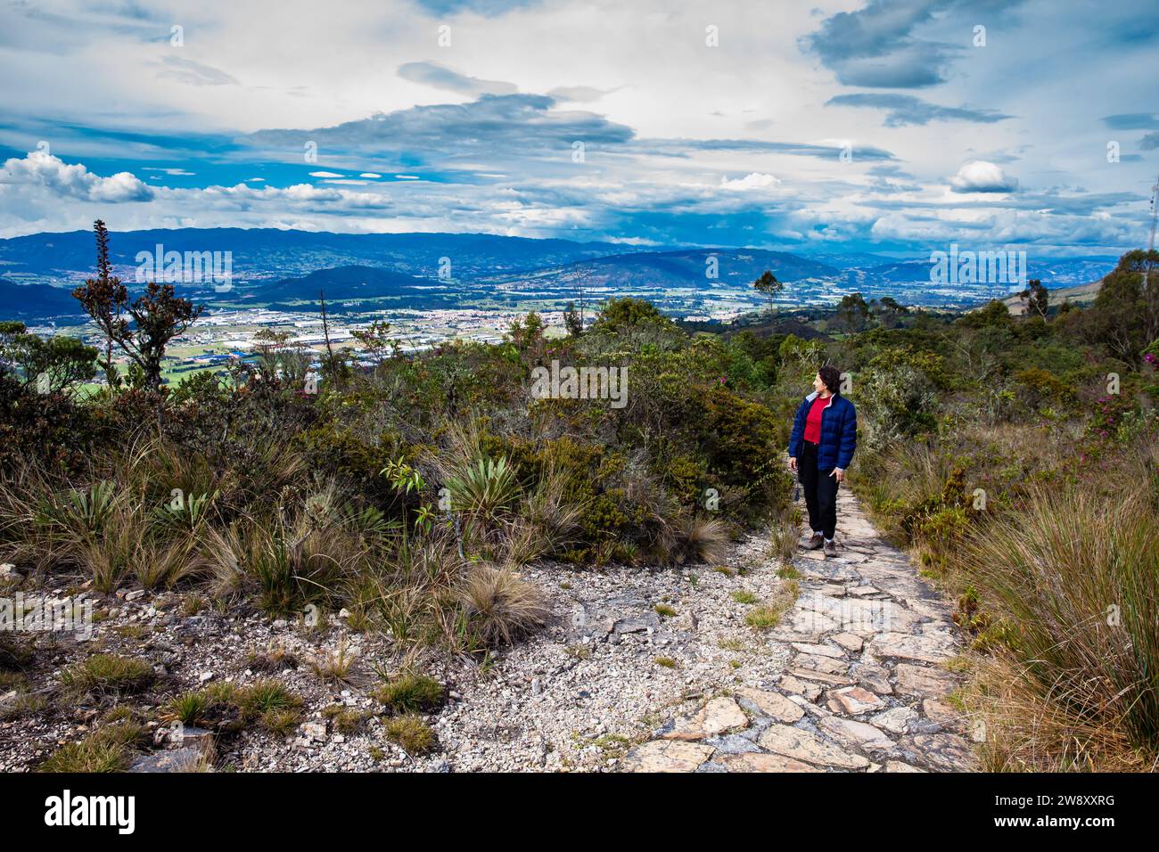 El pionono hi-res stock photography and images - Alamy