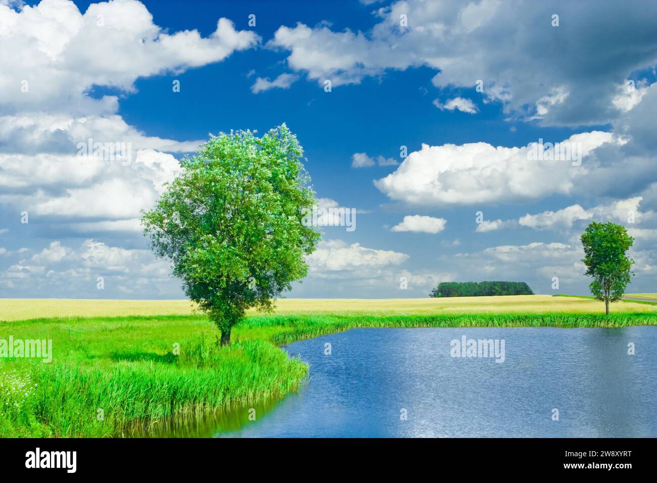 Lake on a field horizonta Stock Photo - Alamy