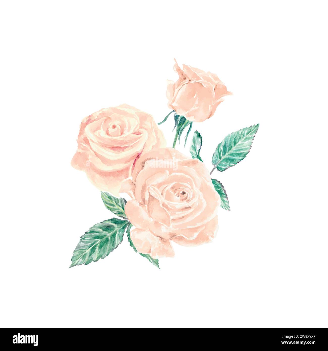 The rose festivals Stock Vector Images - Alamy