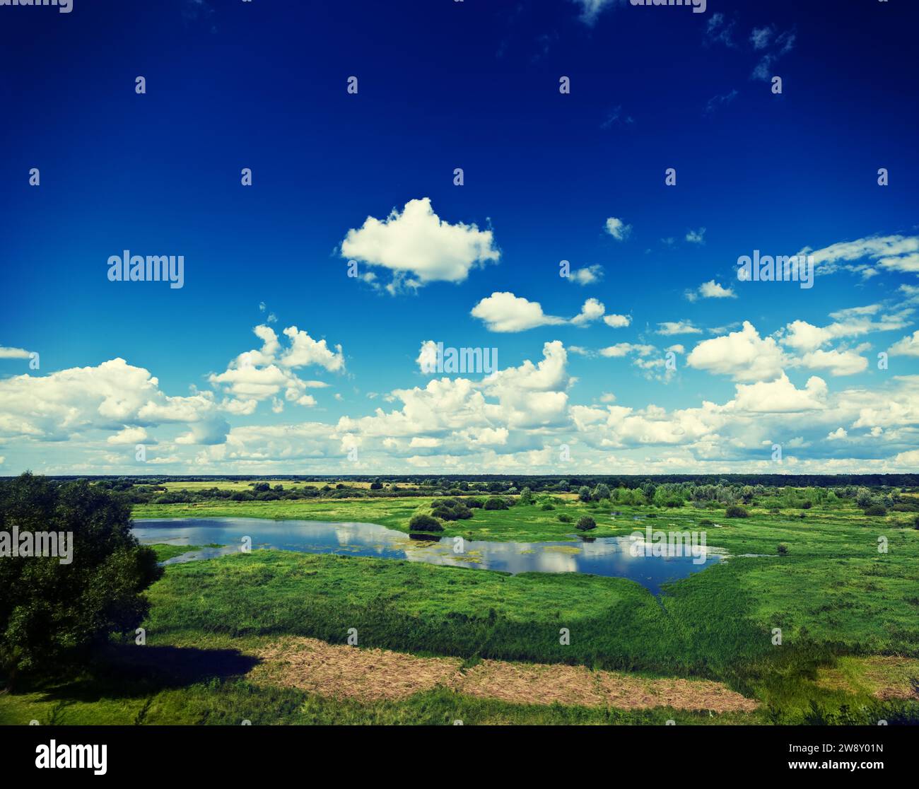 Small area green space hi-res stock photography and images - Alamy