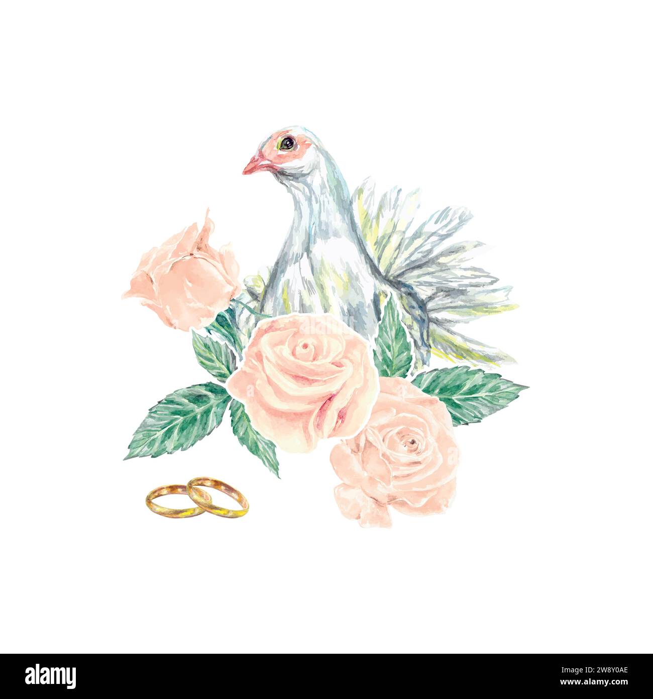 White dove and roses, rings, watercolor. Vector illustration of a peace ...