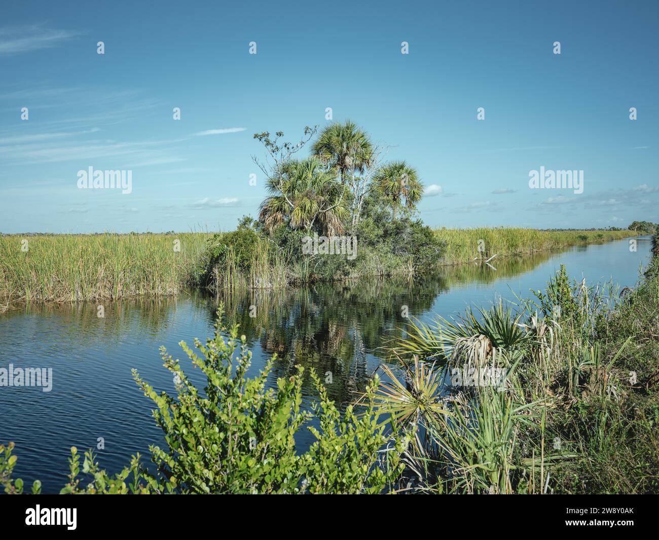 Canal, Big Cypress National Preserve, Everglades, North America ...