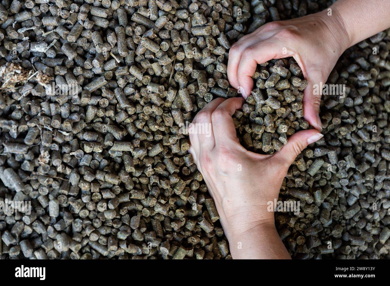 Heart shaped hands on heap of rapeseed cake Stock Photo - Alamy