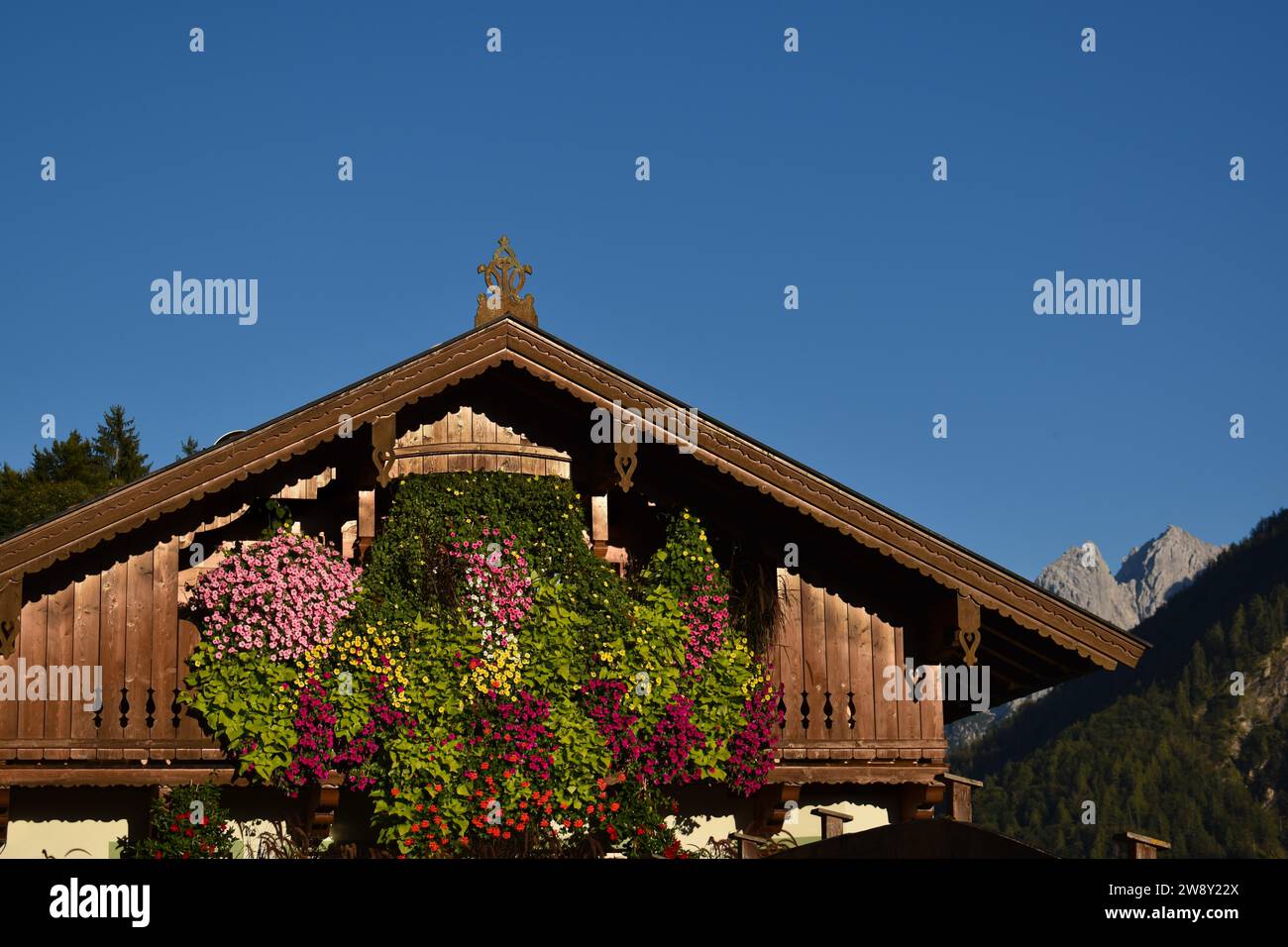 Traditional chalet with flowering climbing plants in front of a blue ...
