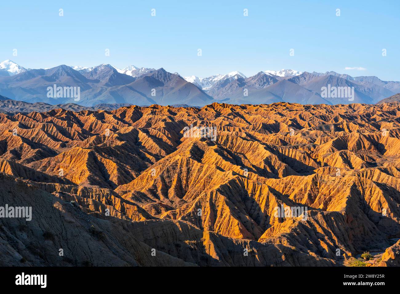 Landscape of eroded hills, white peaks of the Tien Shan Mountains in ...