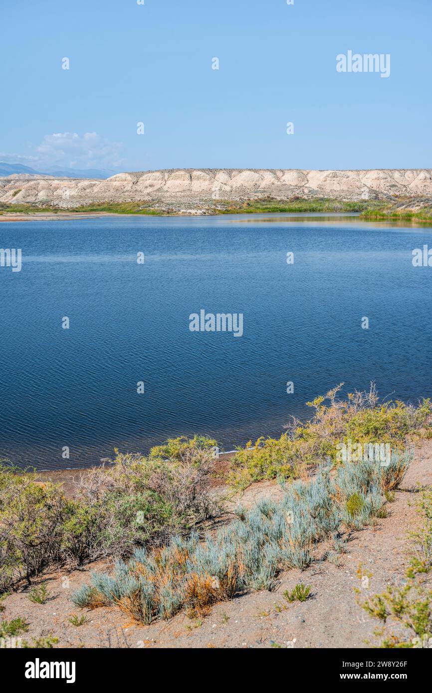 Salinity content hi-res stock photography and images - Alamy