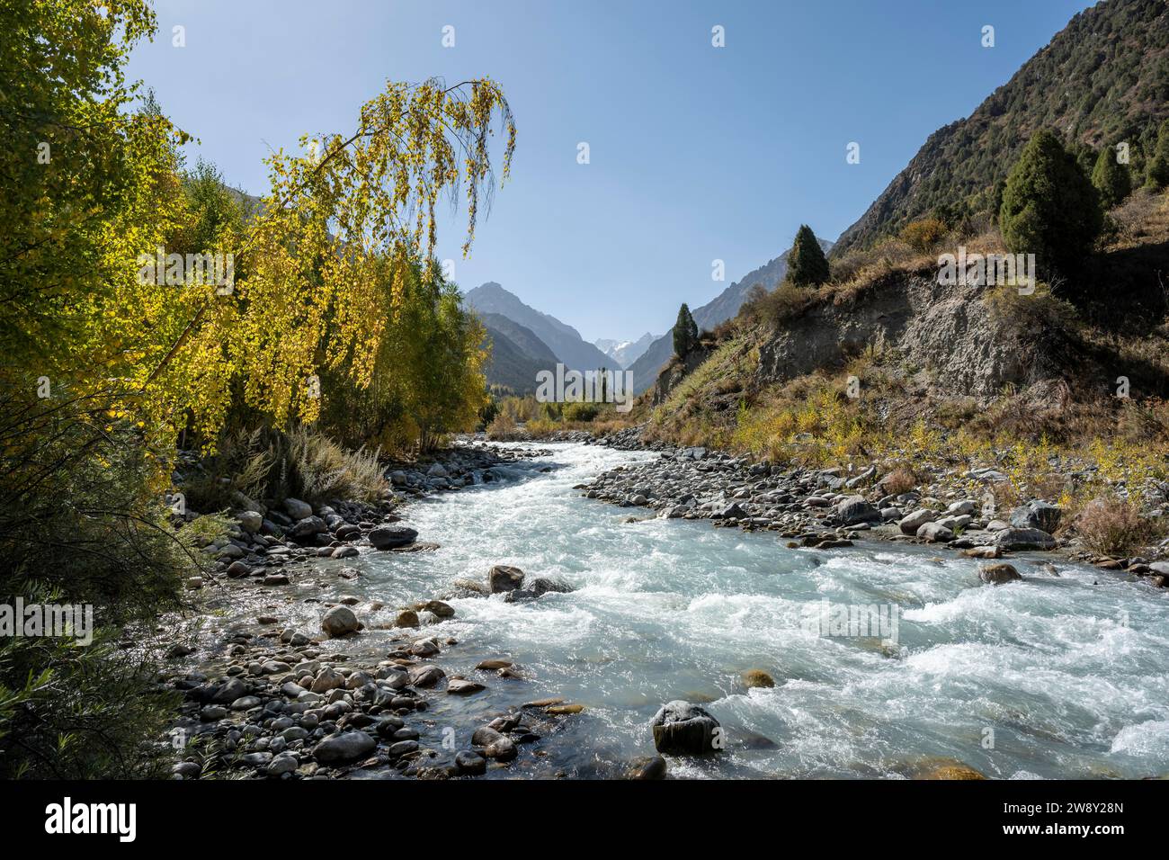 Mountain stream Ala Archa flows through the Ala Archa valley, autumnal ...