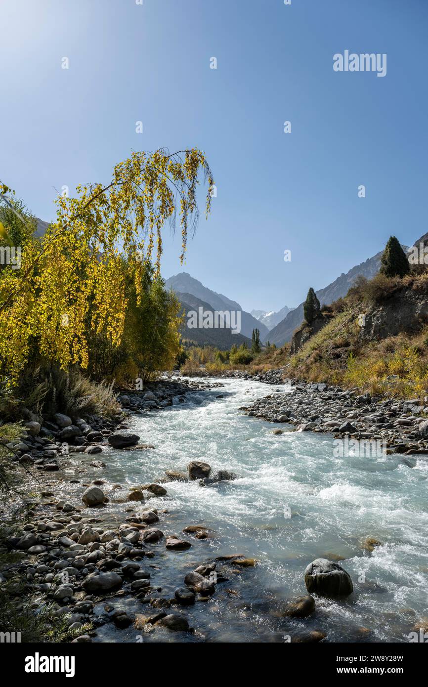Mountain stream Ala Archa flows through the Ala Archa valley, autumnal ...